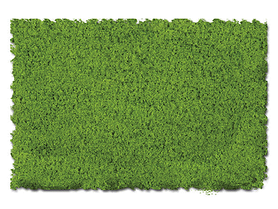 Scenic Express EX810E Flock & Turf Ground Cover, Spring Green Fine 48 ...